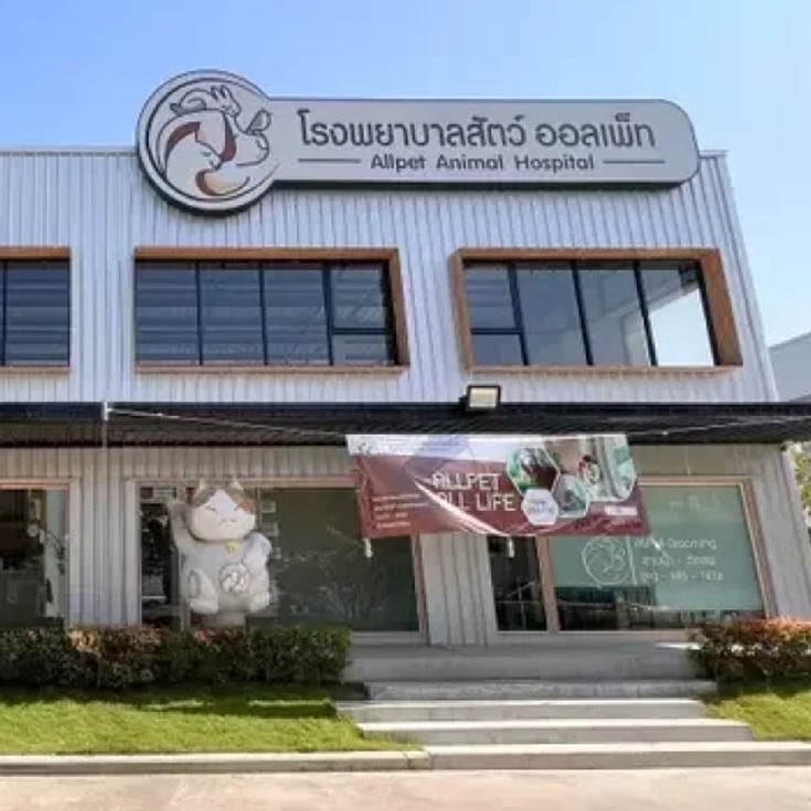 ตรวจสุขภาพเฟอเรทและเมียร์แคต ที่ Allpet Animal Hospital - ราคา 2567 ...